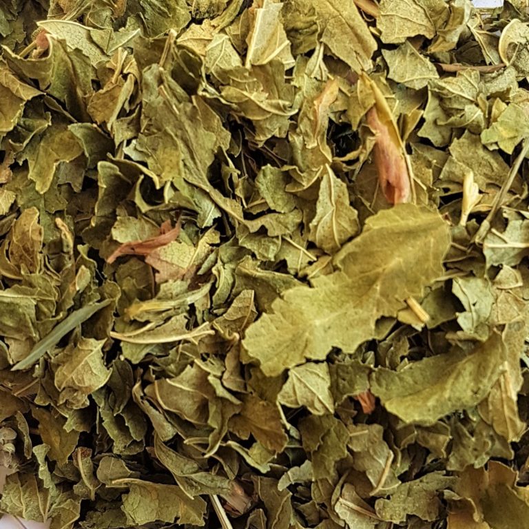 Cassis (feuille) - Tisane et épices Bio