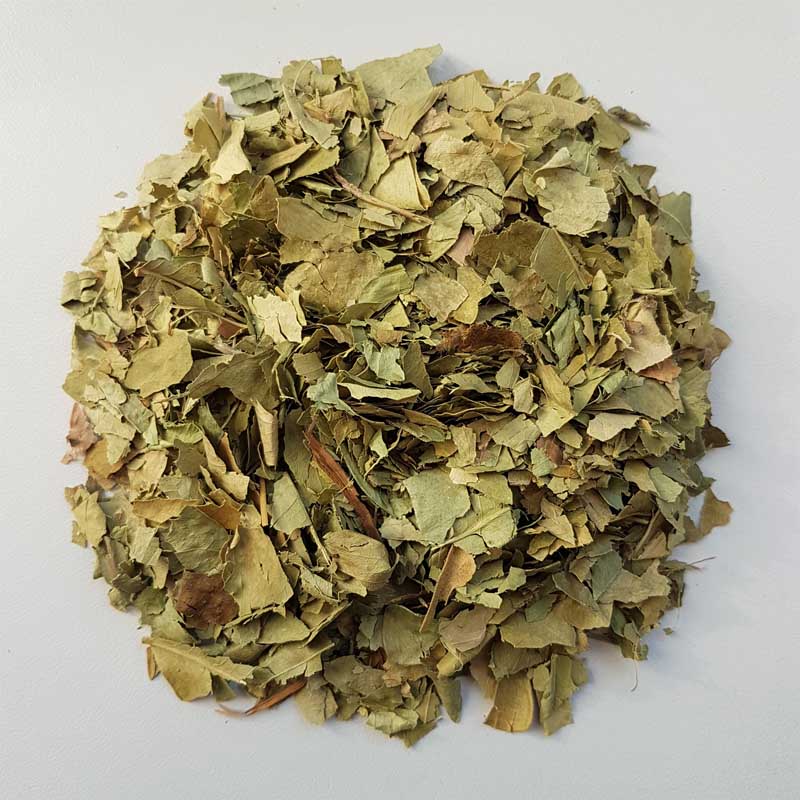 Oranger (feuille) - Tisane et épices Bio