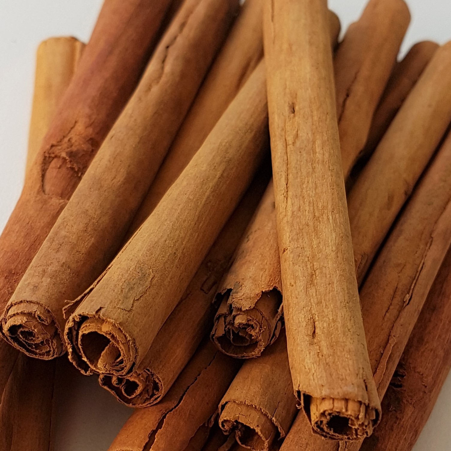 Cannelle (tuyaux) - Tisane et épices Bio